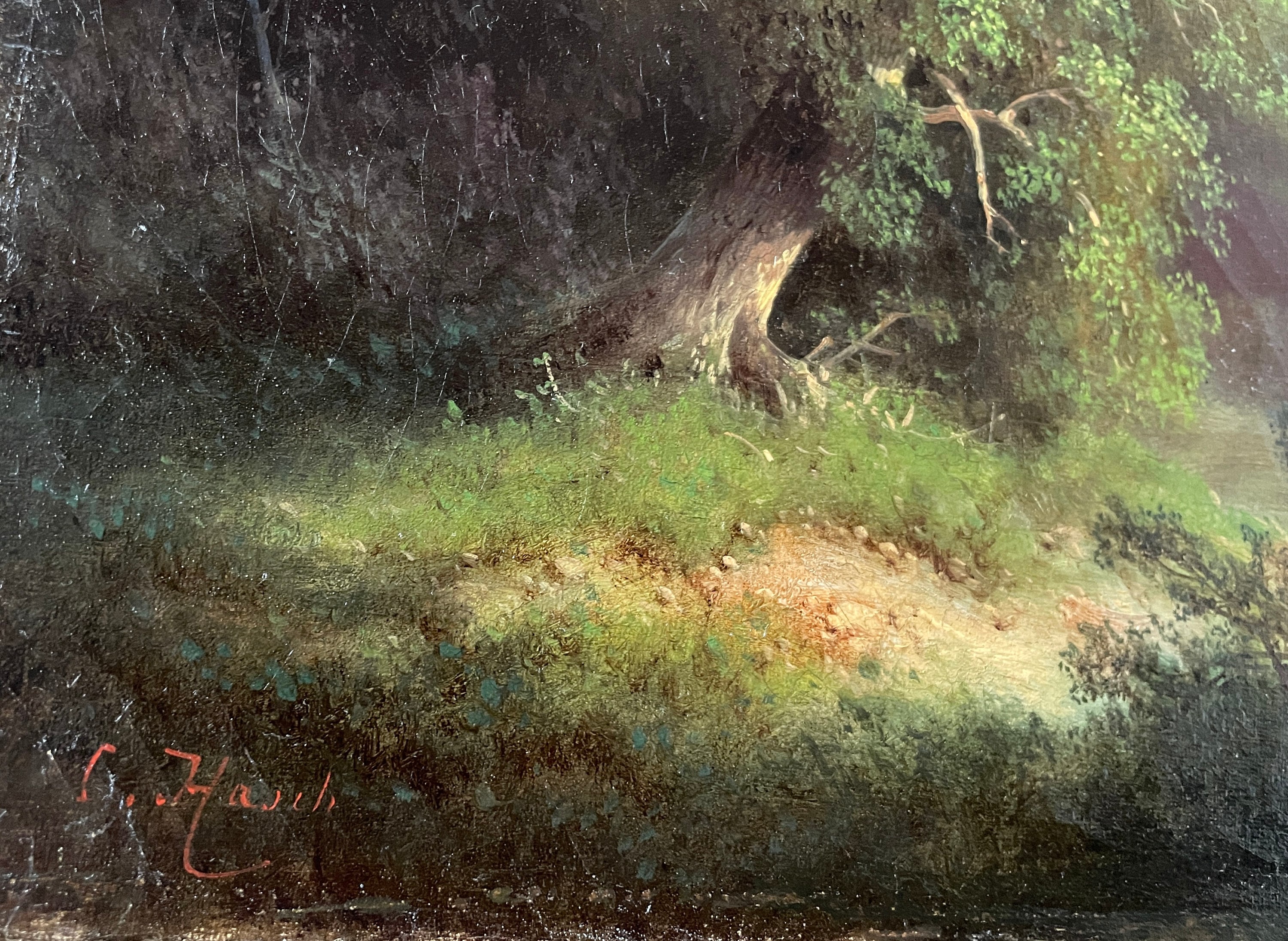 Wooded Landscape, Sunset With Deer by Carl Hasch 1834-97 Magnificent ...