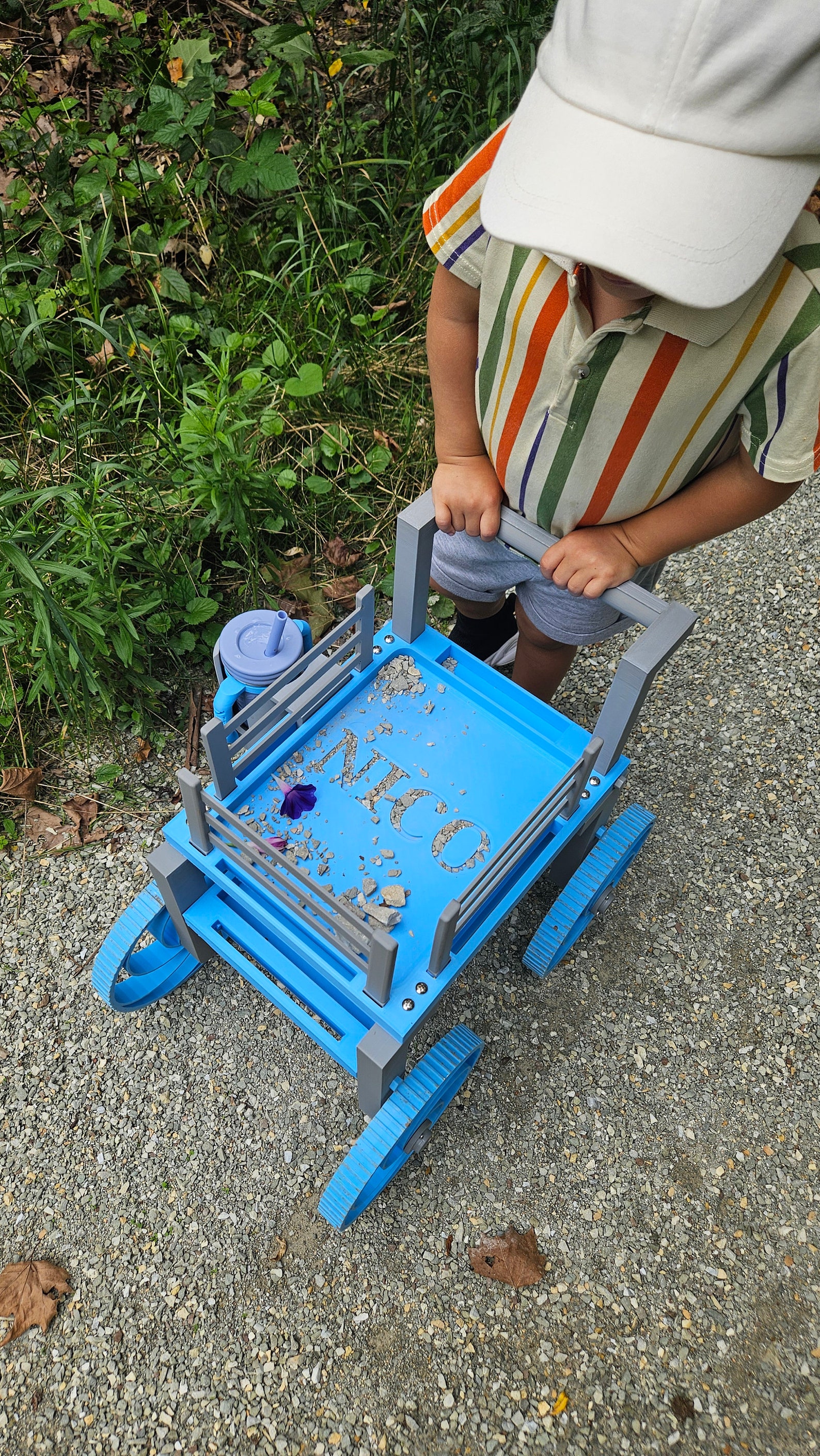 All Terrain Toddler Push Cart, Personalized Kids Push Cart, the ...