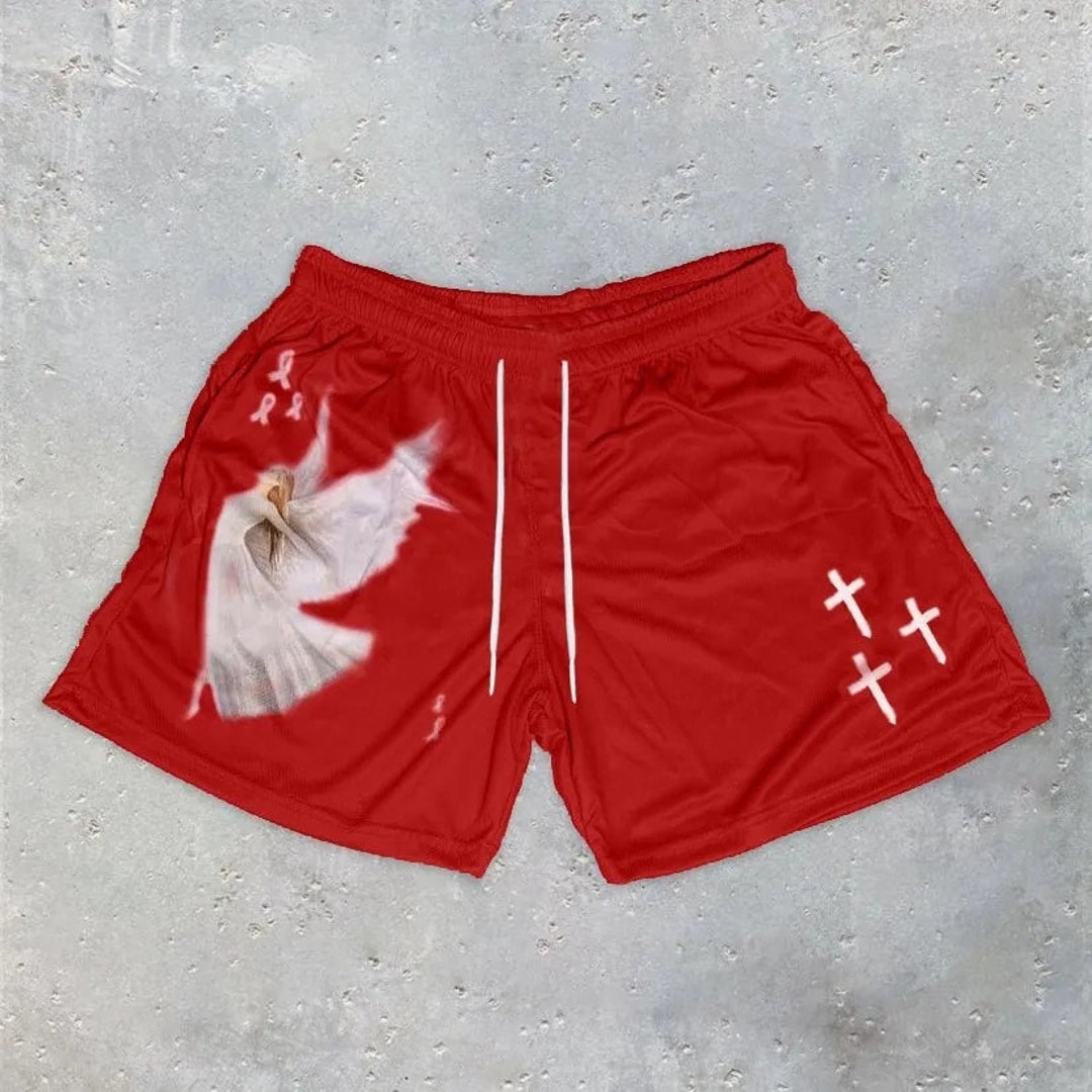 Angel Training Silk Shorts, Cross Angel Shorts, Gym Satin Color Shorts ...