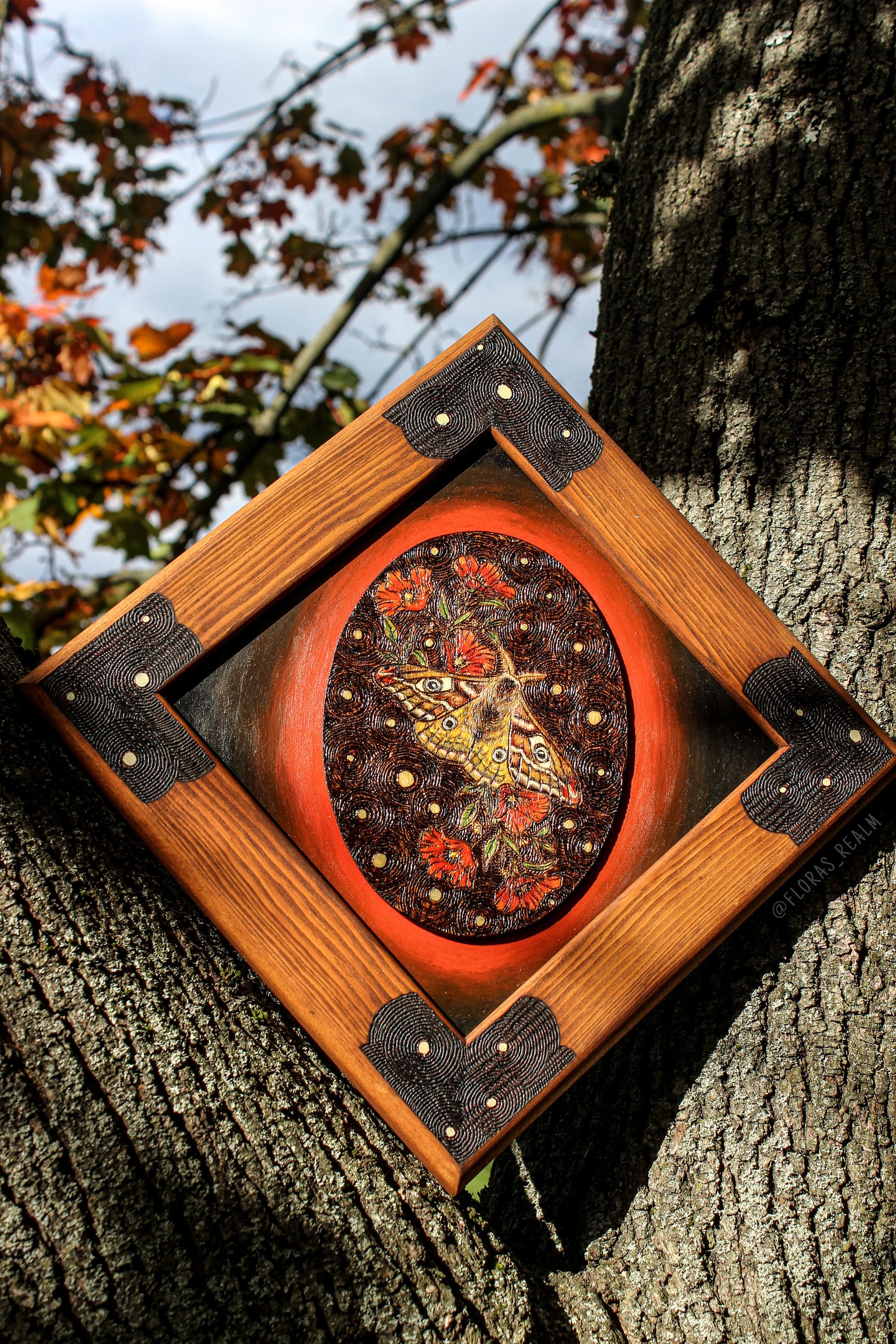 Moth Wall Decor in a Wooden Frame With Emperor Moth in a Agoblincore ...