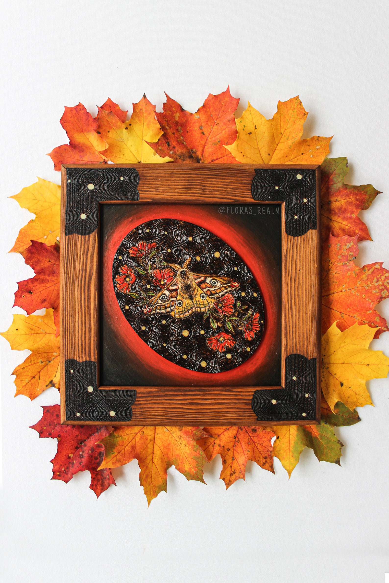 Moth Wall Decor in a Wooden Frame With Emperor Moth in a Agoblincore ...