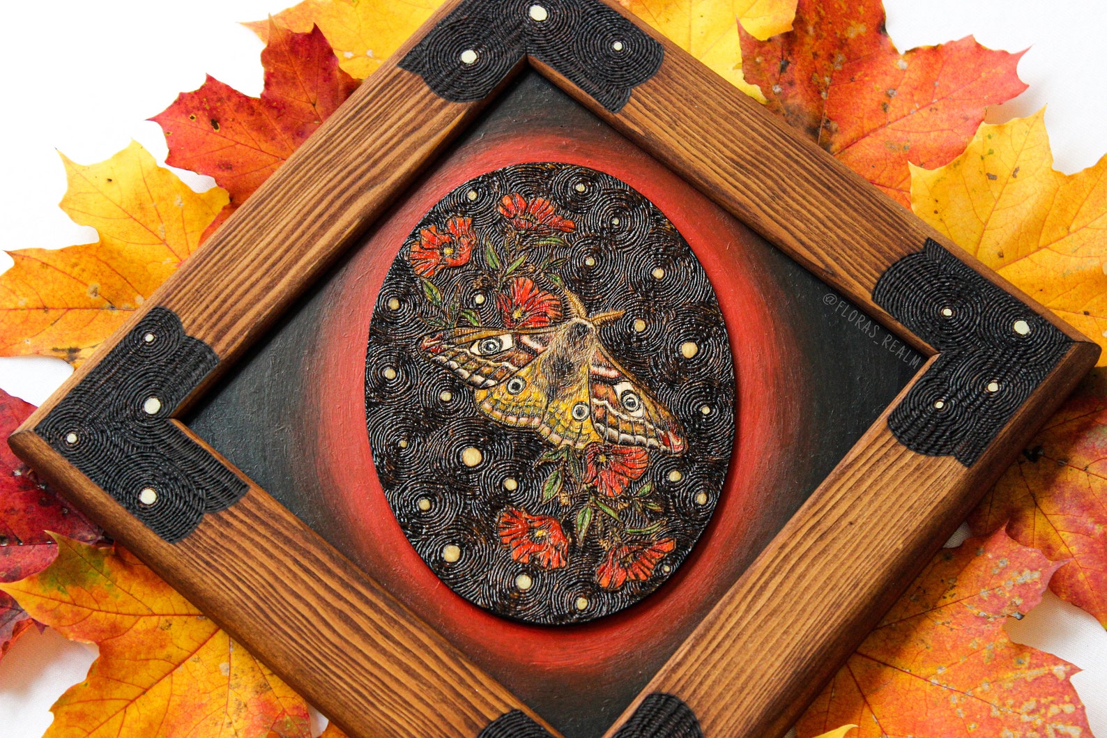 Moth Wall Decor in a Wooden Frame With Emperor Moth in a Agoblincore ...