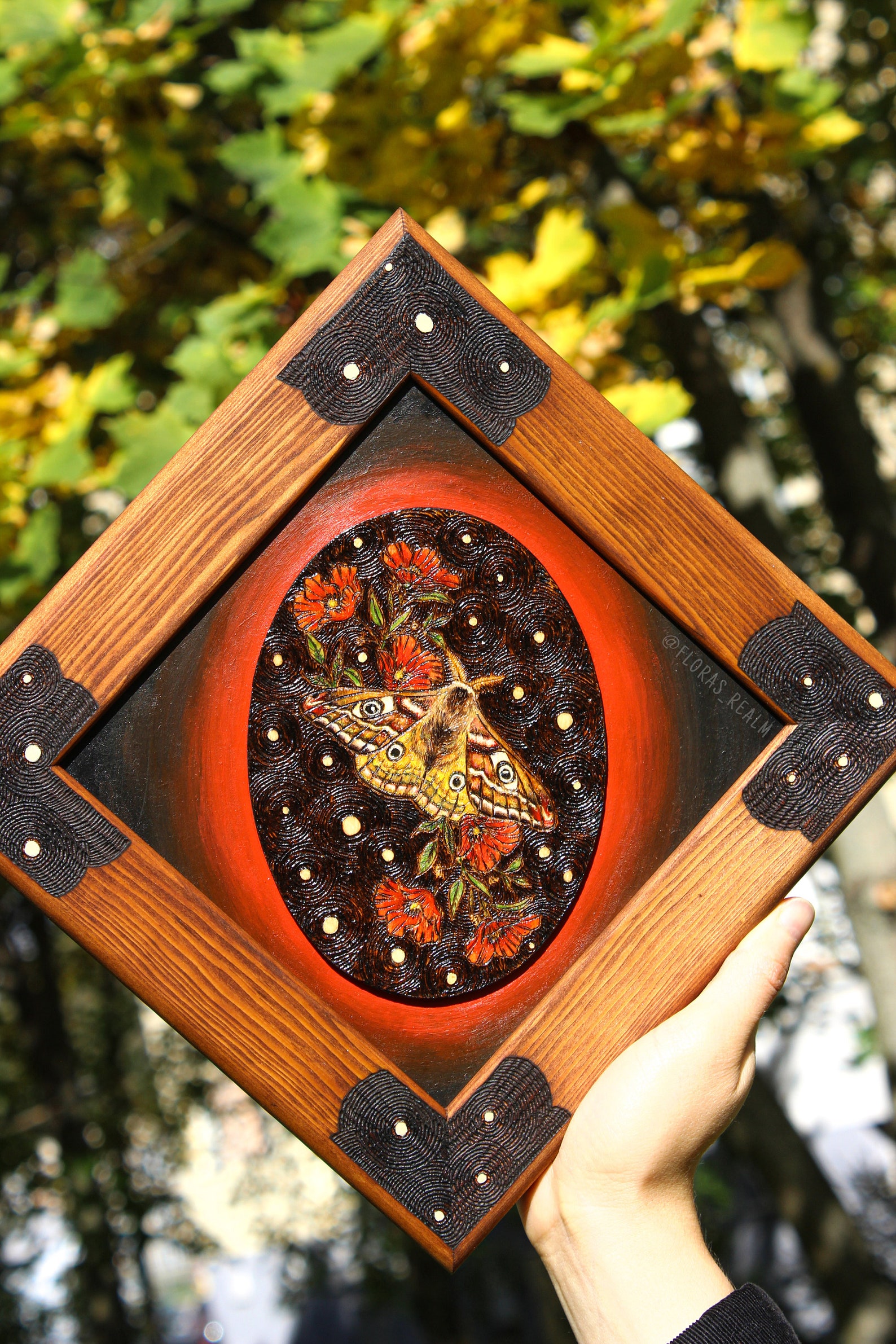 Moth Wall Decor in a Wooden Frame With Emperor Moth in a Agoblincore ...