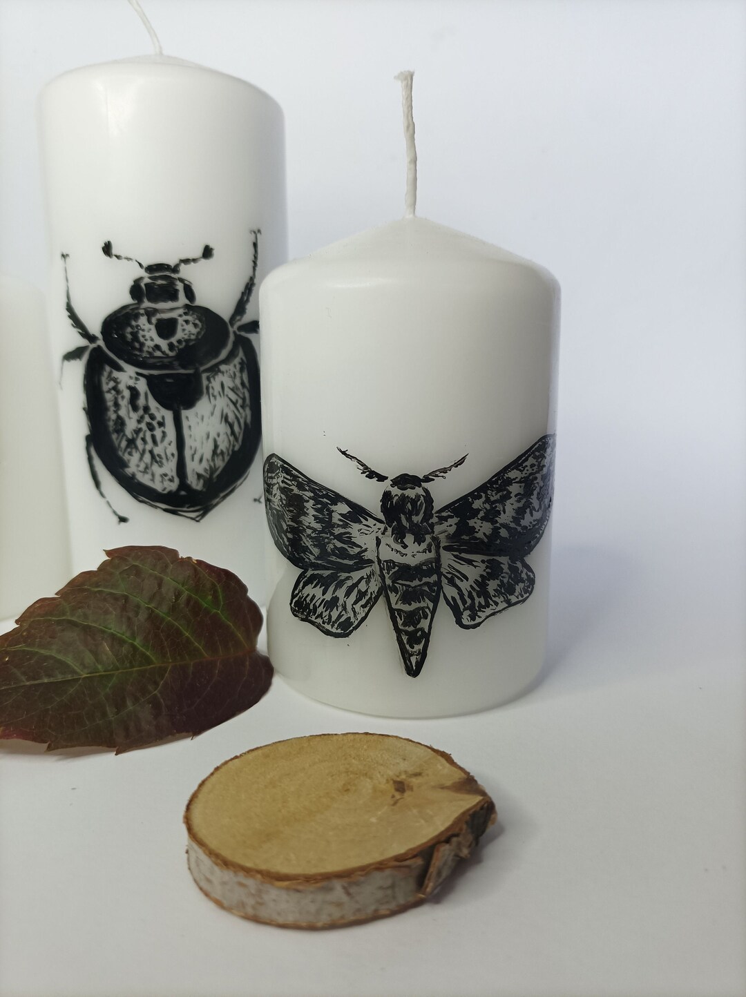 The Candles Are Hand Painted. Drawings of Beetles and Moths - Etsy