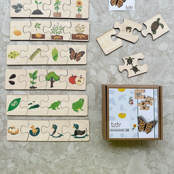 Life Cycle Puzzle - Etsy