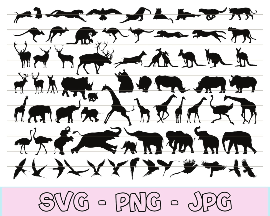 Safari Animals Silhouette Svg, Zoo Animals Svg Bundle, Jungle Animals ...
