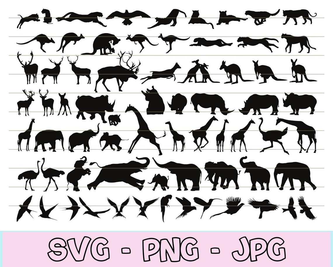 Safari Animals Silhouette Svg Zoo Animals Svg Bundle Jungle - Etsy