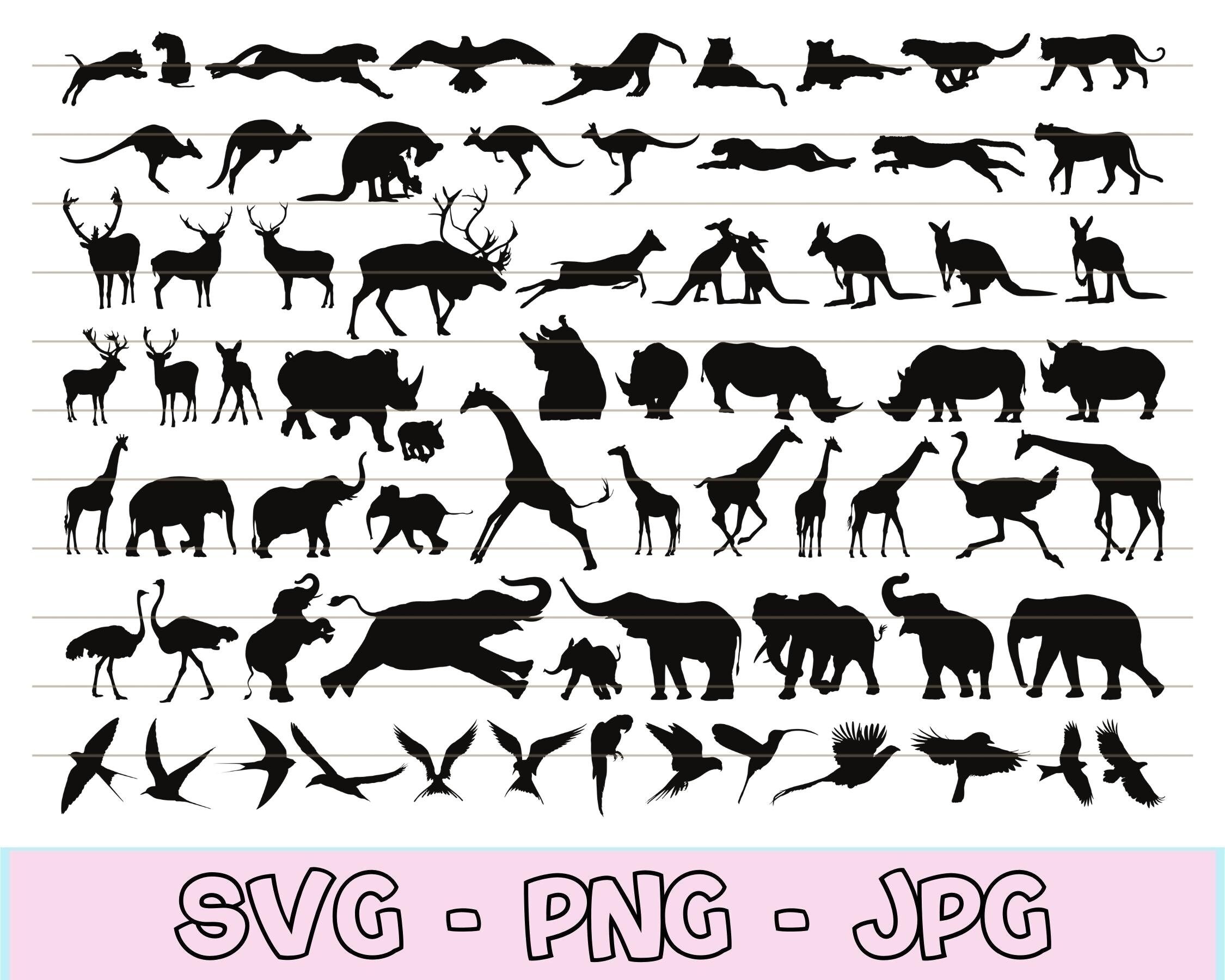 Safari Animals Silhouette Svg Zoo Animals Svg Bundle Jungle - Etsy