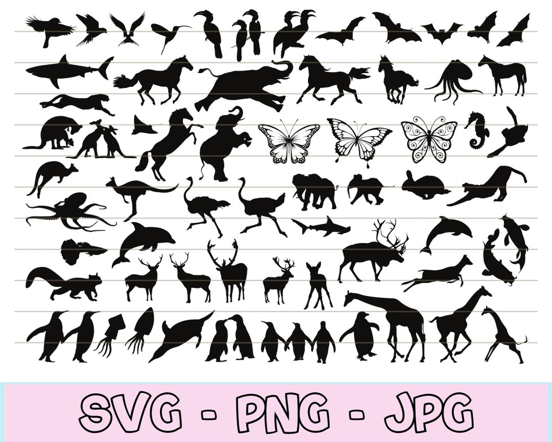 Zoo Animals Svg Bundle, Safari Animals Silhouette Svg, Jungle Animals ...