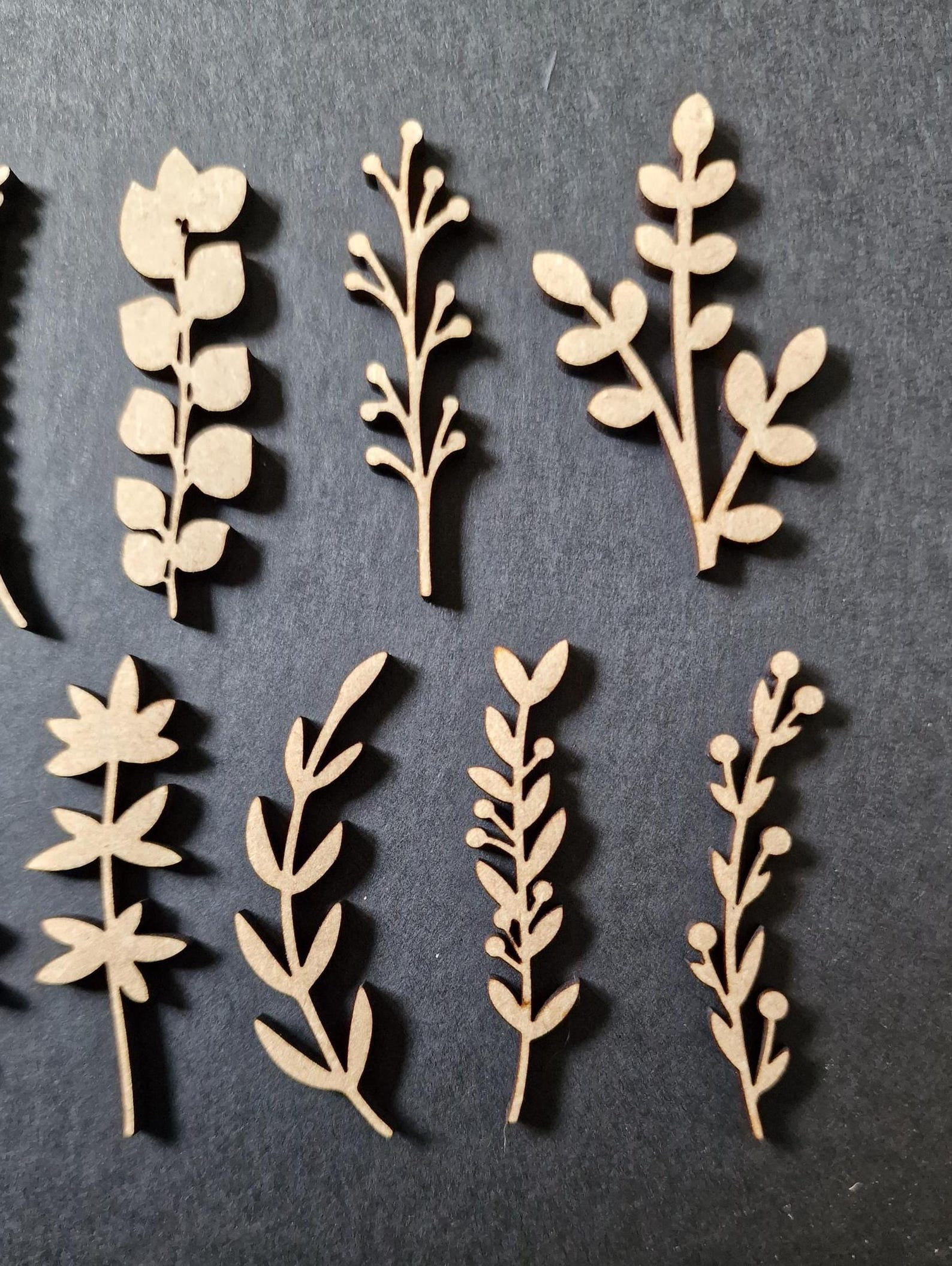 12x Mixed Foliage Leaves Plants Laser Cut MDF Craft Shapes Wooden ...