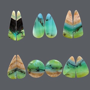 Rare Quality Beautiful Opal Petrified Wood Pairs for Earring Jewelry - Etsy