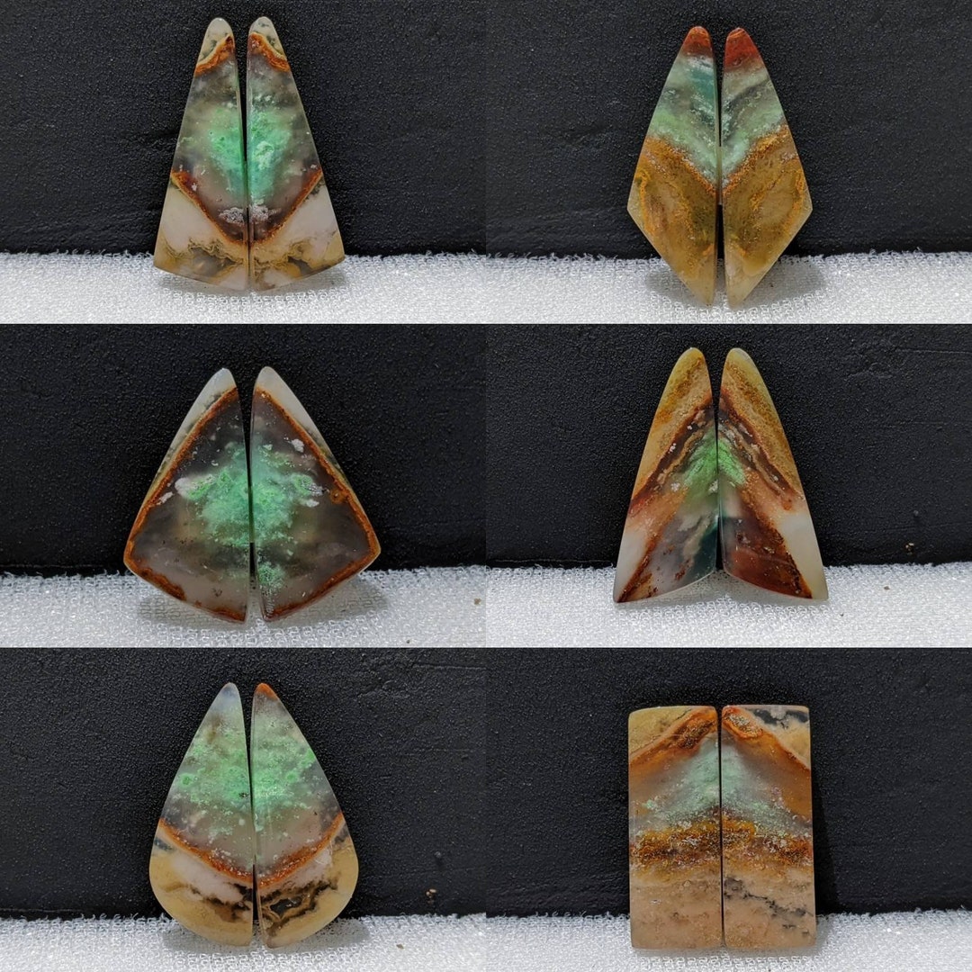 Opal Petrified Wood Pairs - Etsy