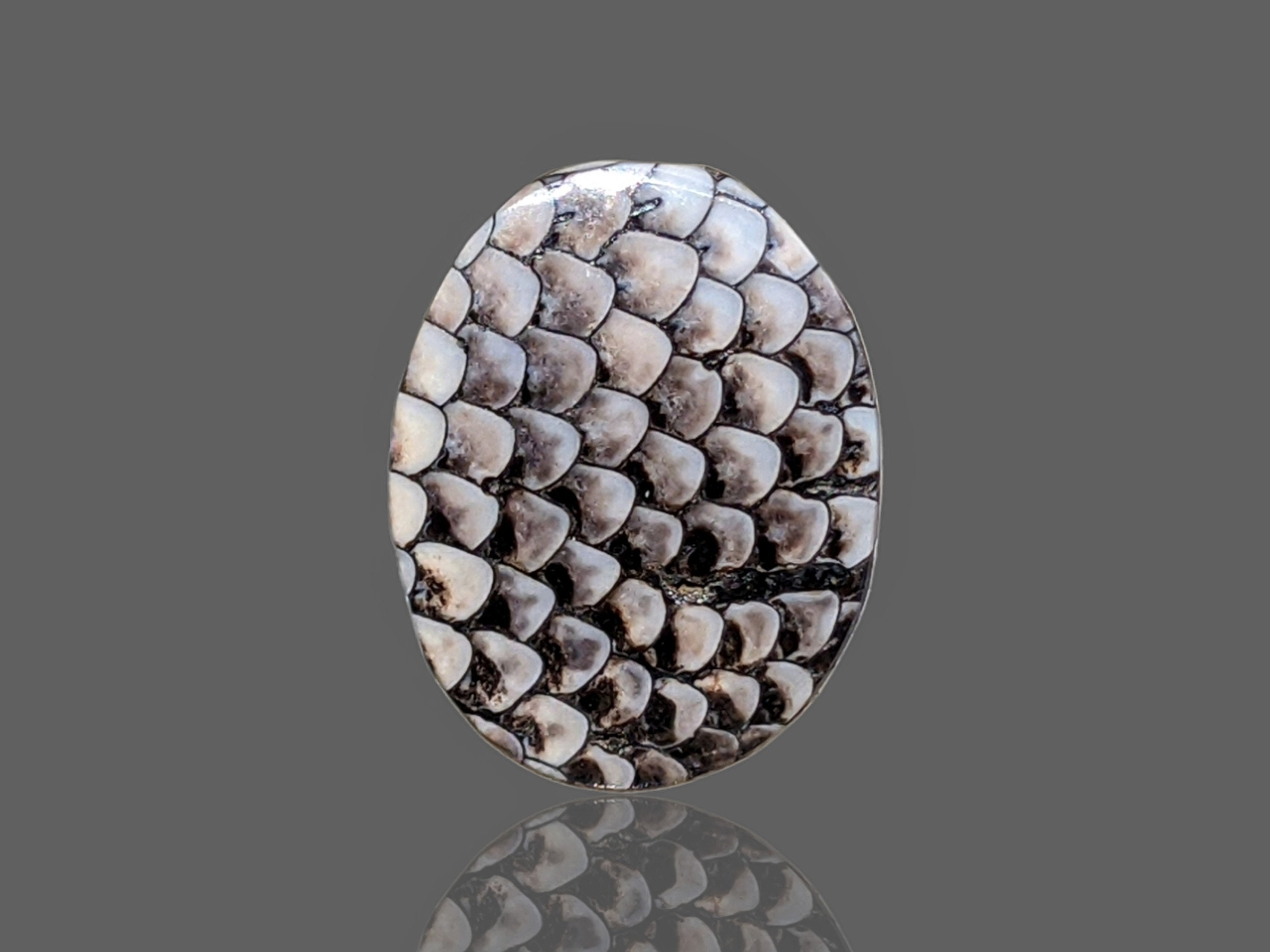 High Quality Natural Fossilized Snake Skin Stone Cabochon - Etsy