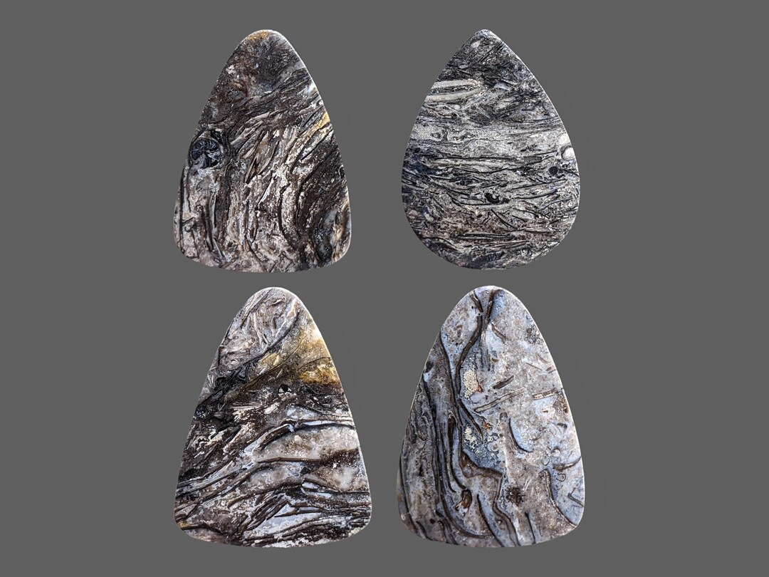 Natural Stone Beautiful Fossil Feather Wood Cabochon for Gift Custom ...