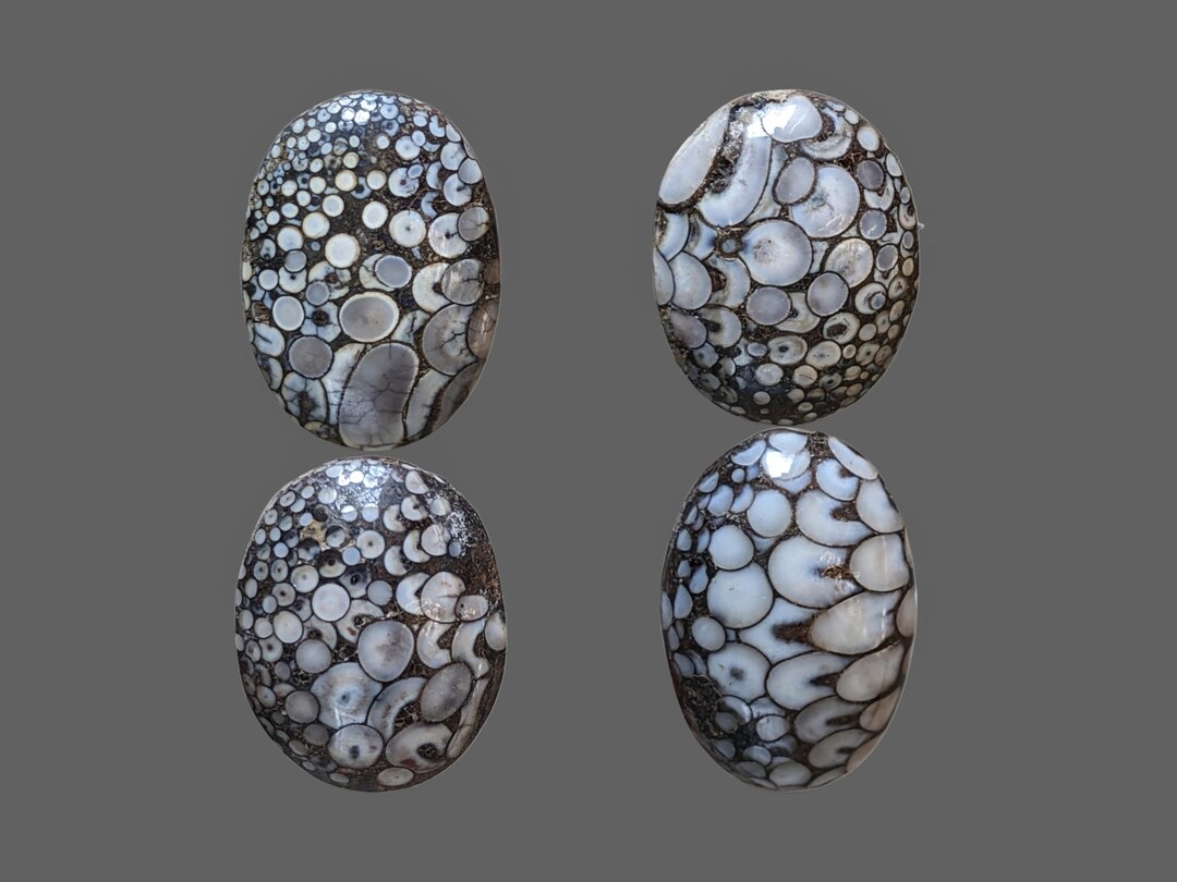 High Quality Natural Fossilized Snake Skin Stone Cabochon Beautiful ...