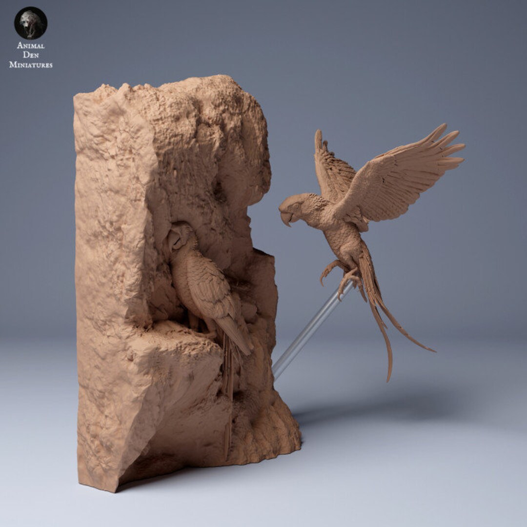 Resin 3D Printed Scarlet Macaws ara Macao High Detailed Resin in ...