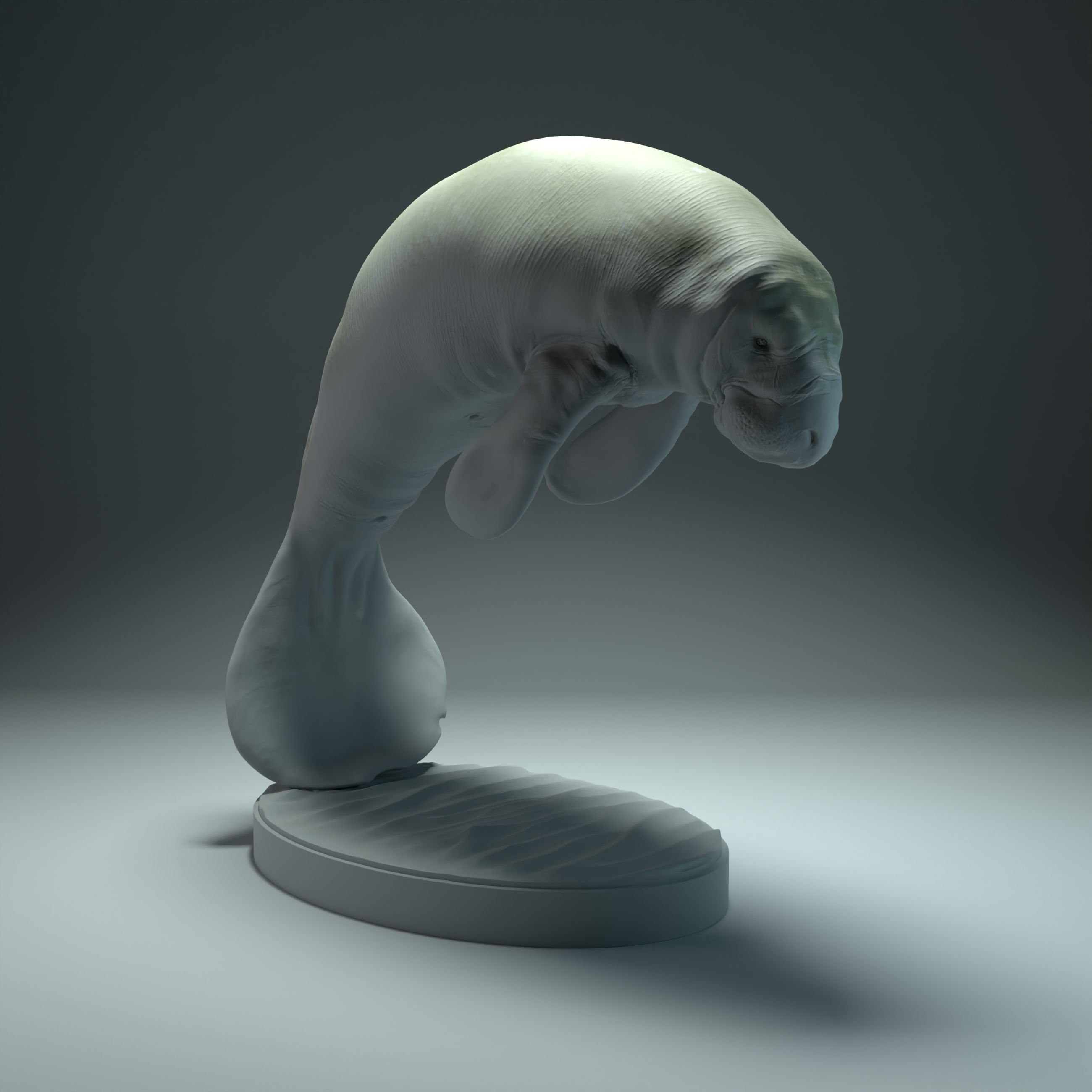 Custom 3D Printed Manatee Resin Animal Figurines - Etsy