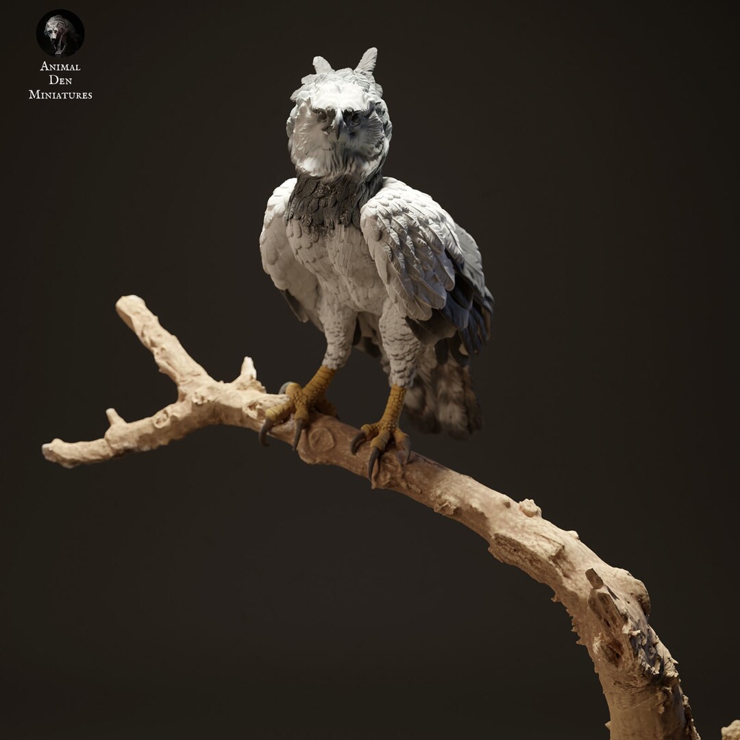 Resin 3D Printed Harpy Eagle High Detailed Resin in Different Sizes ...