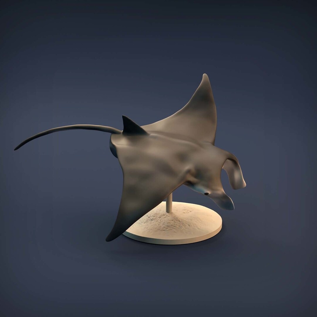 Resin 3D Printed Manta Ray High Detailed Resin in Different Sizes ...