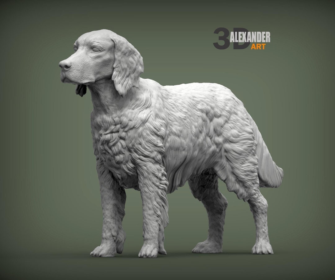 3D Printed Irish Setter High Detailed Resin in Different Sizes, Indoor ...