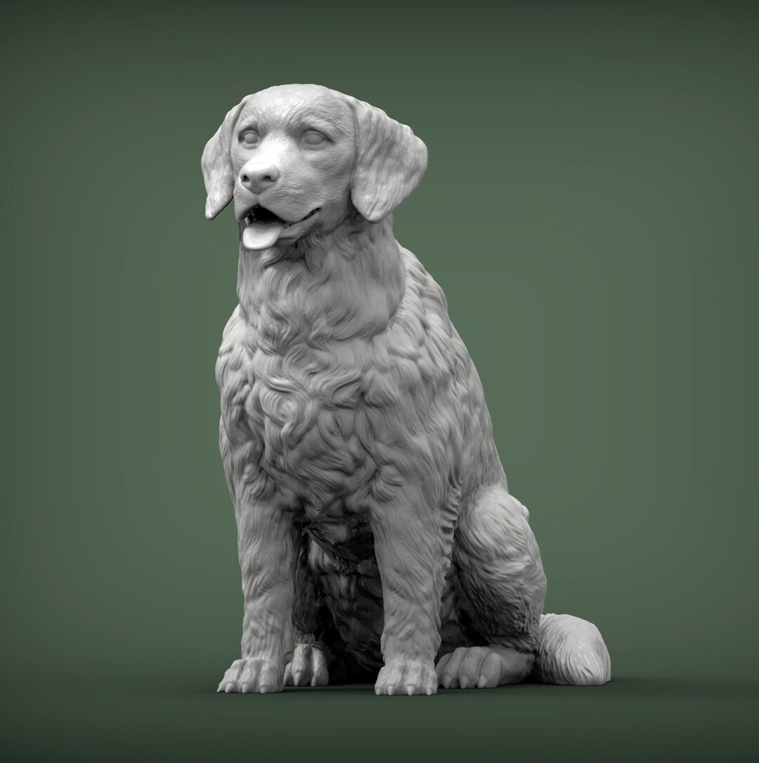 Resin 3D Printed Golden Retriever High Detailed Resin in Different ...