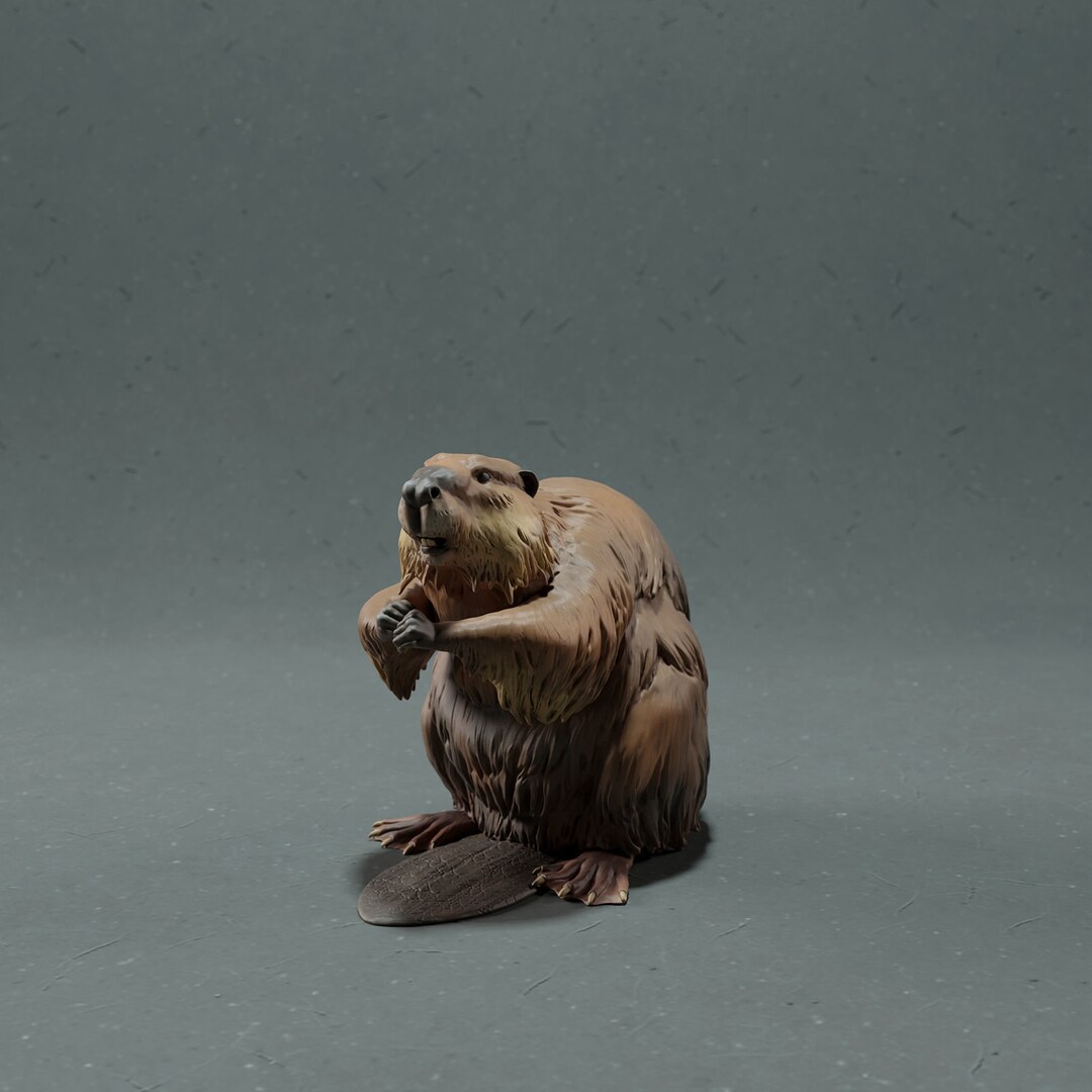 Resin 3D Printed American Beaver High Detailed Resin in Different Sizes ...