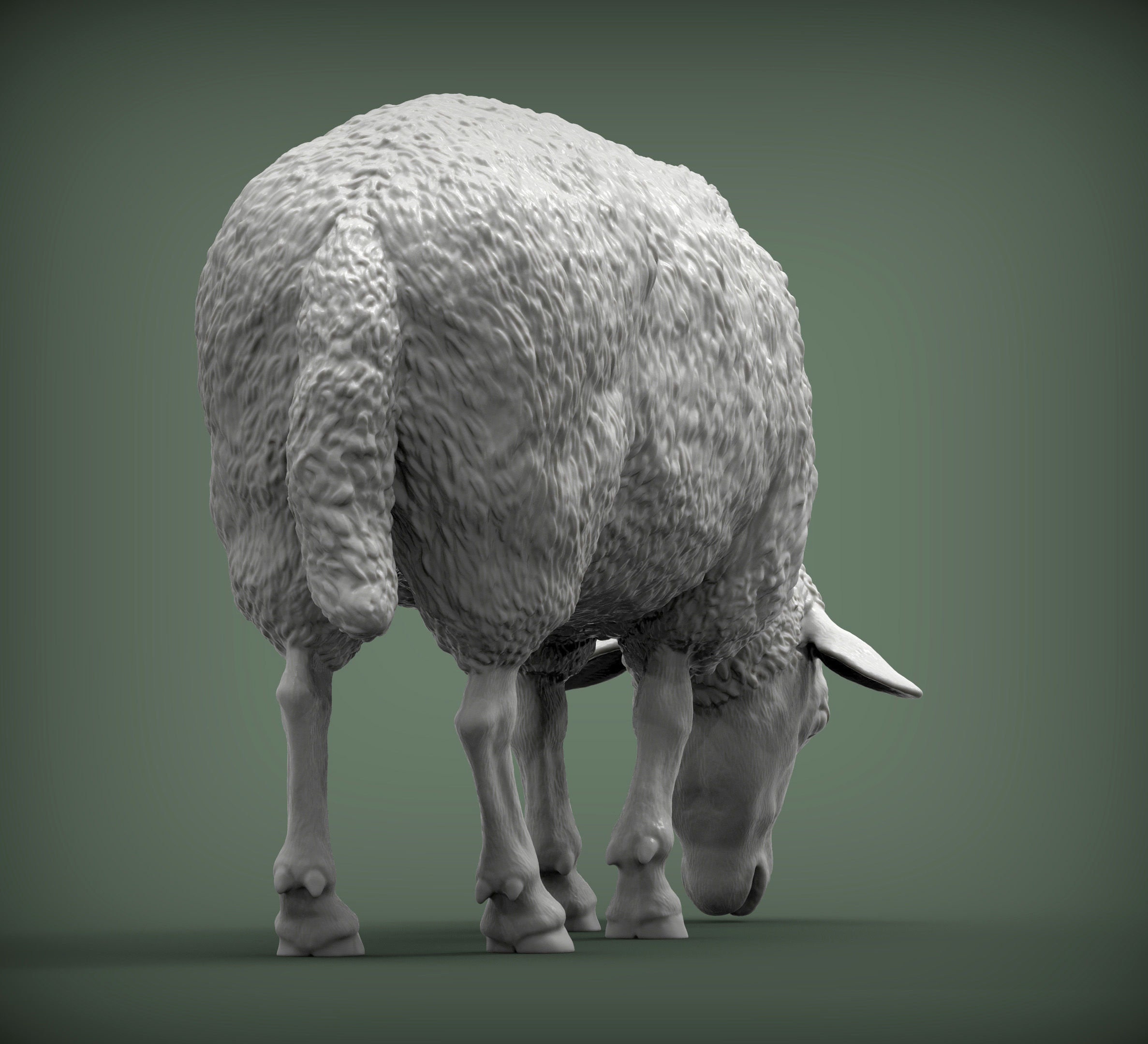 3D Printed Sheep High Detailed Resin in Different Sizes, Indoor or ...