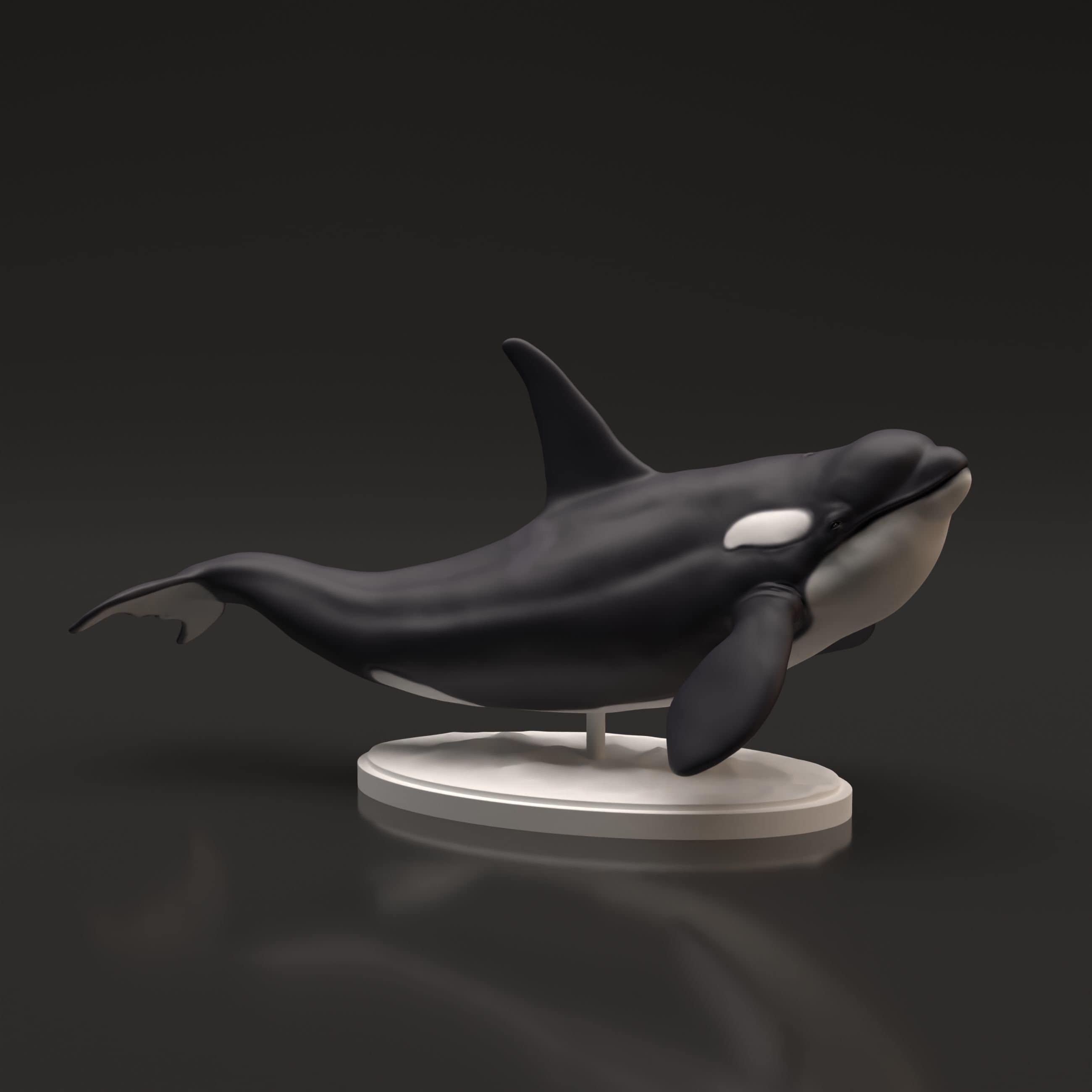3D Printed Orca Killer Whale High Detailed Resin in Different Sizes ...