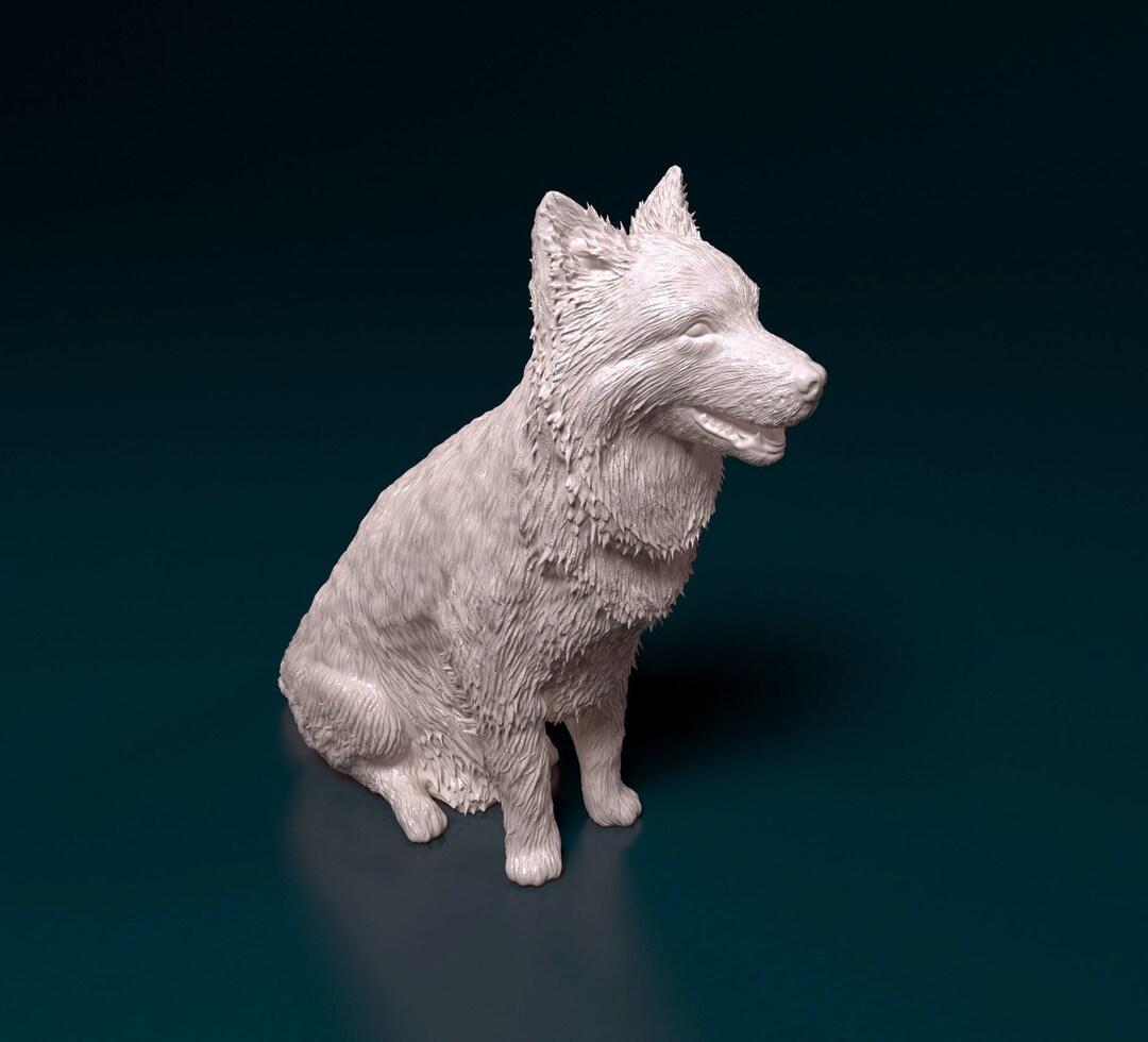 Resin 3D Printed Border Collie High Detailed Resin in Different Sizes ...