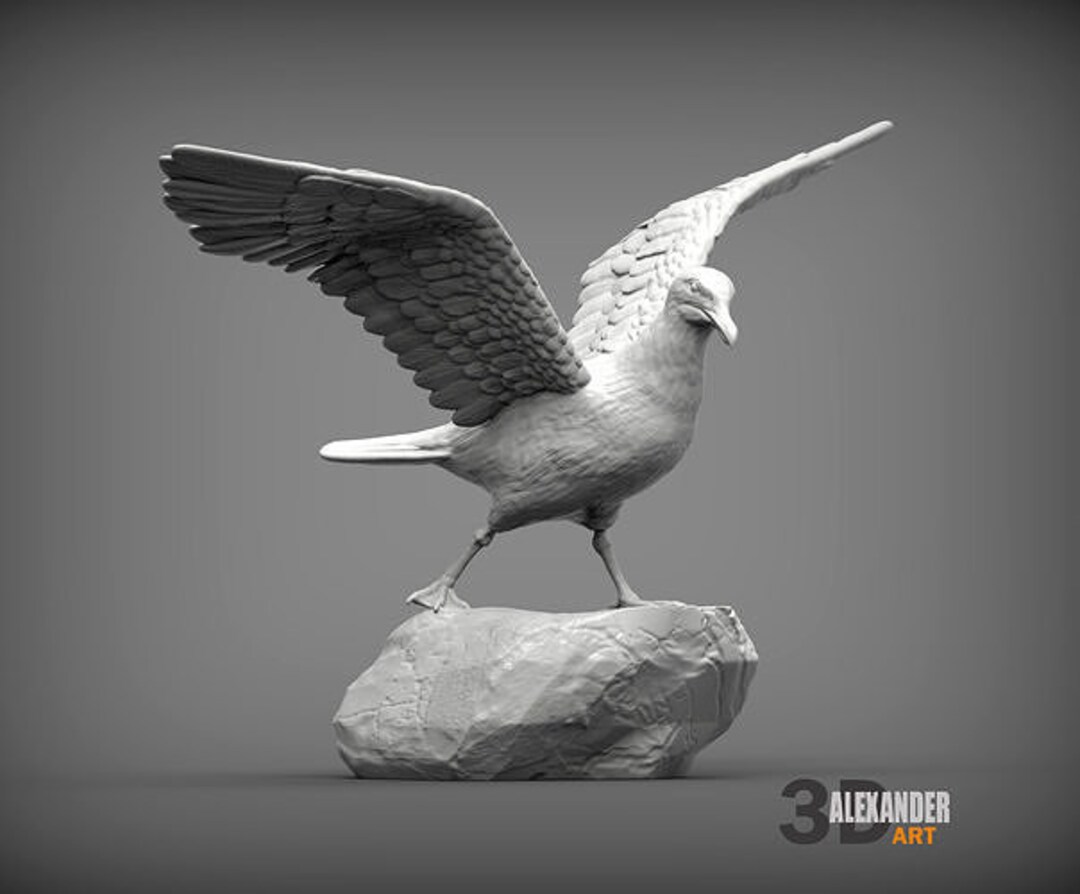 Resin 3D Printed Seagull High Detailed Resin in Different Sizes, Indoor ...