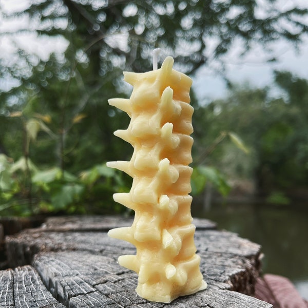 Bone Shaped Taper Candles - Etsy