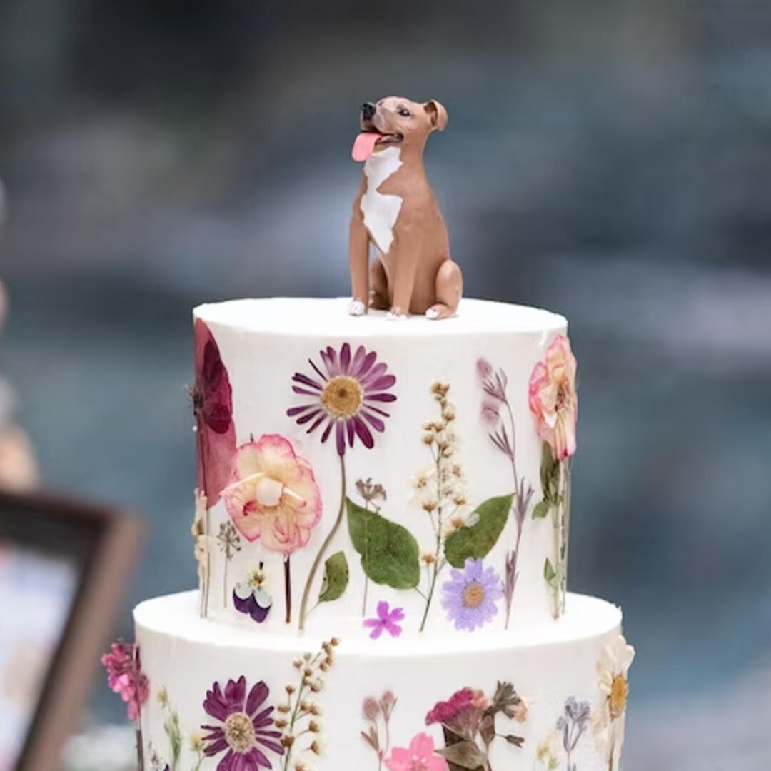 Pet Birthday Cake Animal Cake Gift Box Miniature,pets Birthday,cat ...