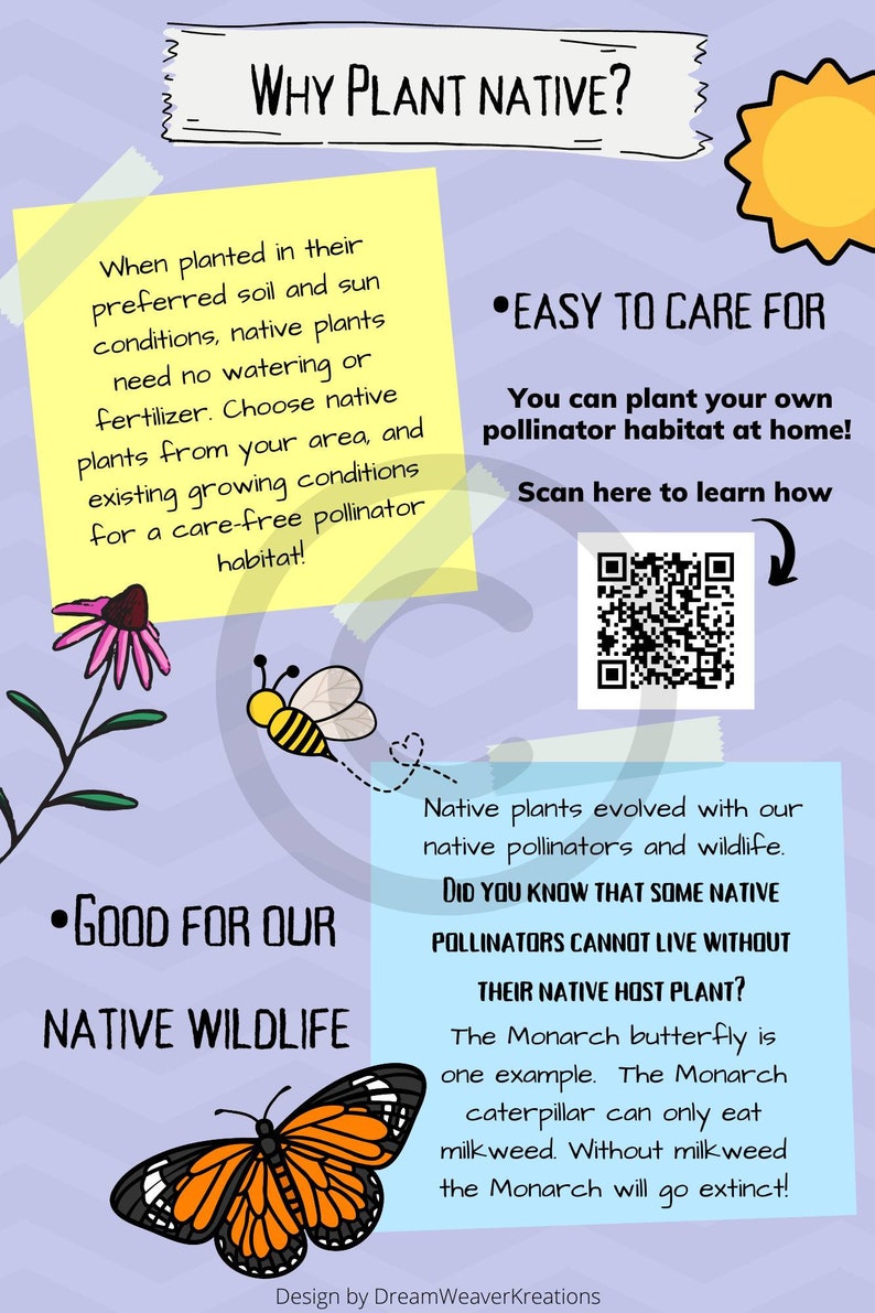 Kids Educational Pollinator Habitat Sign Promoting Native - Etsy