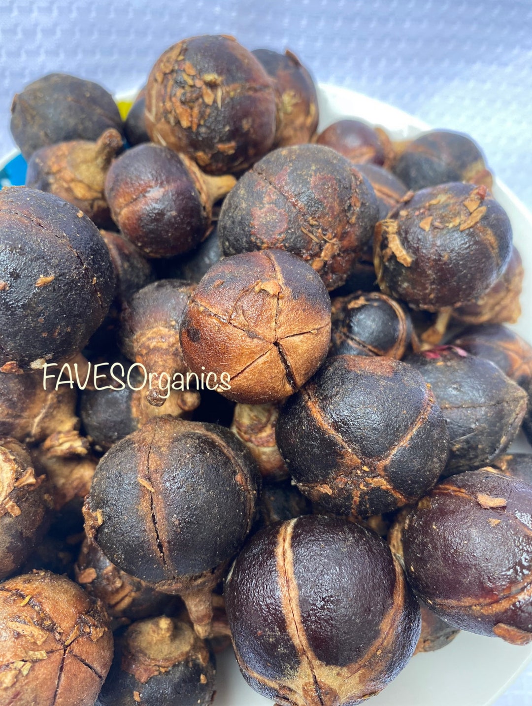 Gorontula Fruits Azanza Garckeana Snot Apple Fruits Silky Kola Fresh ...