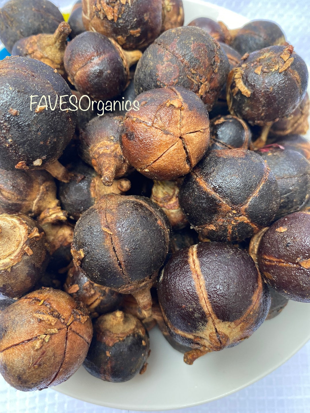 Gorontula Fruits Azanza Garckeana Snot Apple Silky Kola Fresh Fully ...