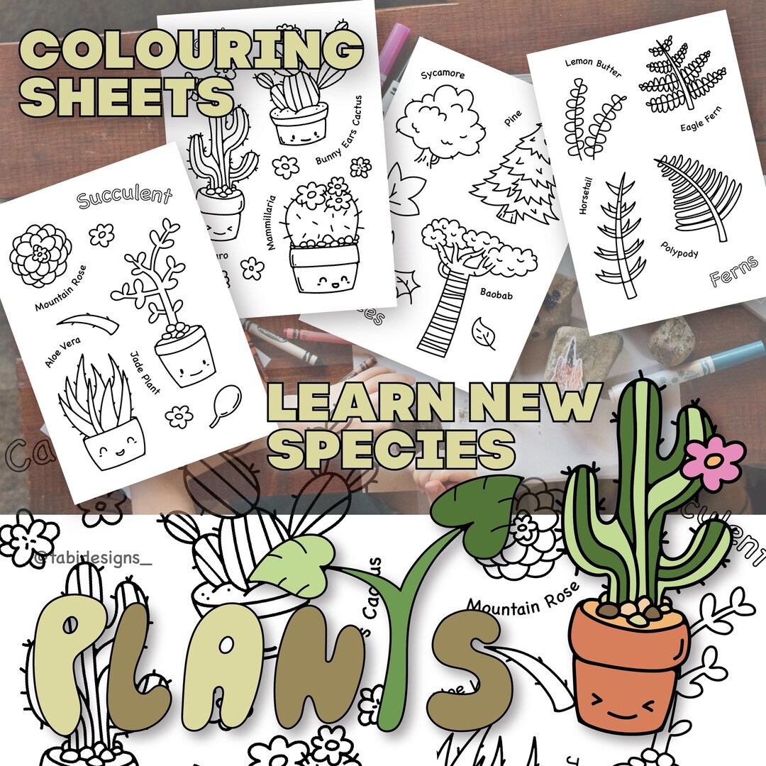 Kids Colouring Sheets Printable Digital Download Plants and Nature ...