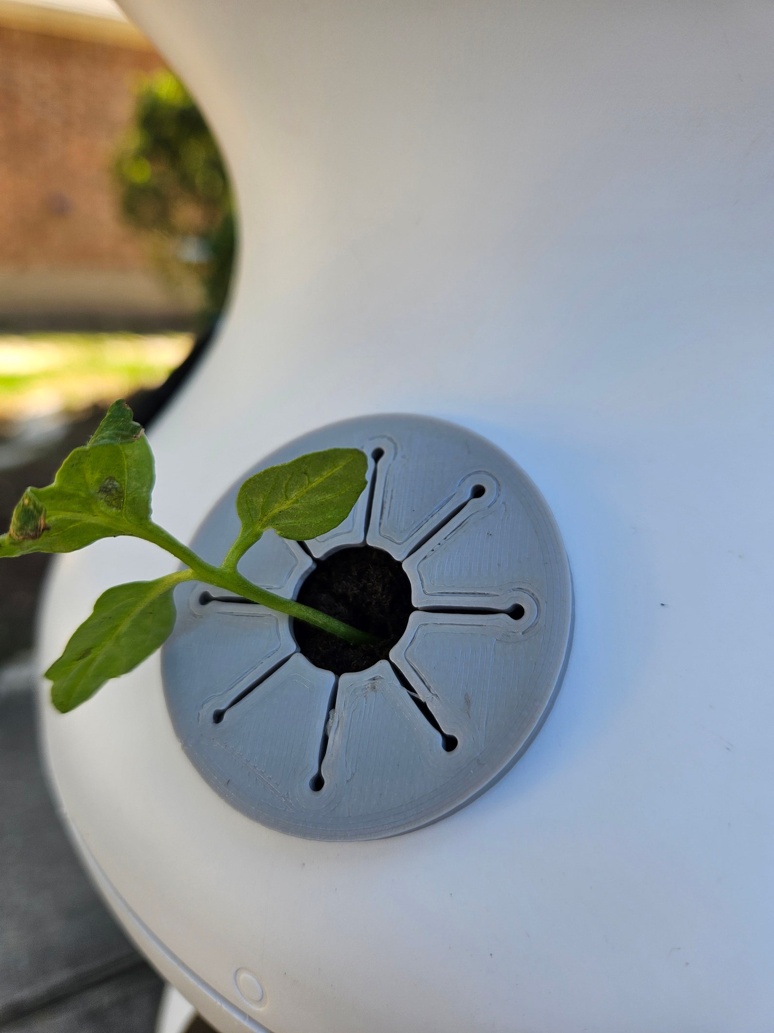 Lettuce Grow Algae Cover: 3D Printed Hydroponics Farmstand Pod Cap - Etsy