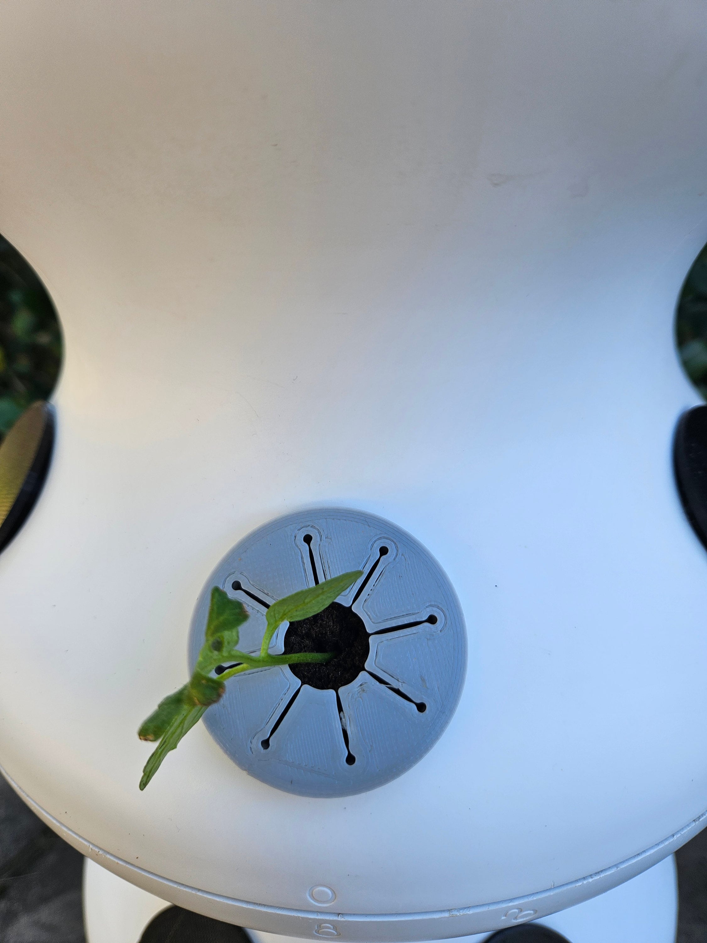 Lettuce Grow Algae Cover: 3D Printed Hydroponics Farmstand Pod Cap - Etsy