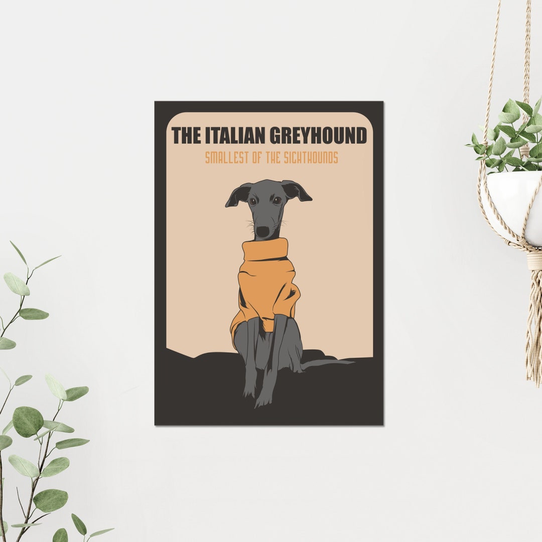 The Italian Greyhound - Retro Vintage Style - Various Sizes - Iggy ...