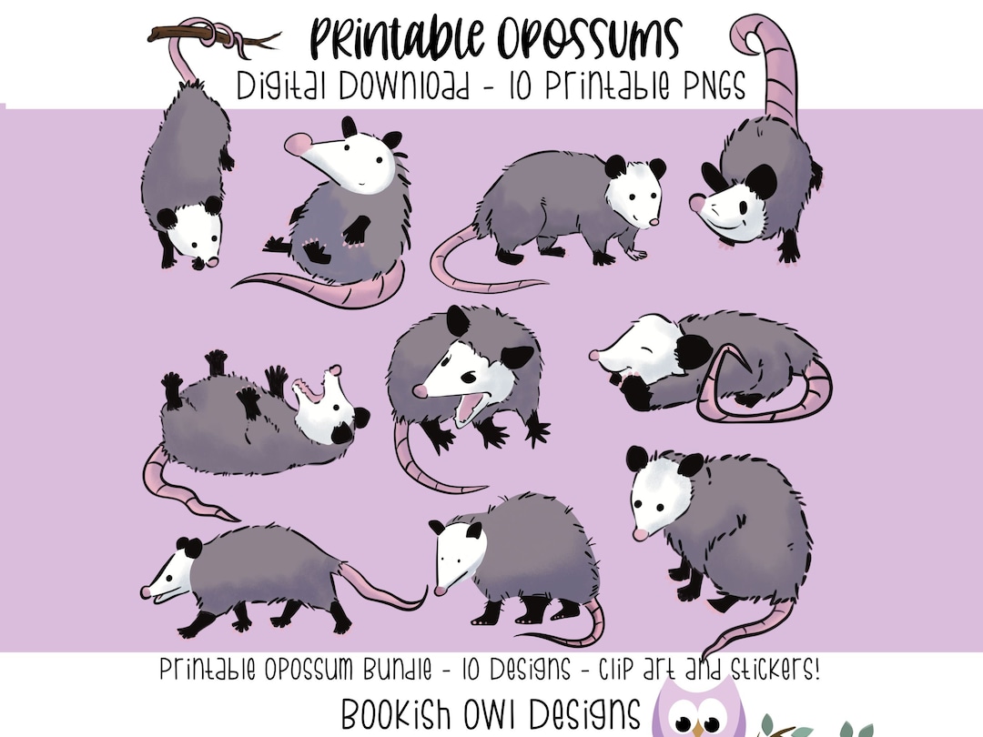 Possum Clip Art Sticker Designs: 10 Printable PNG Images (digital ...