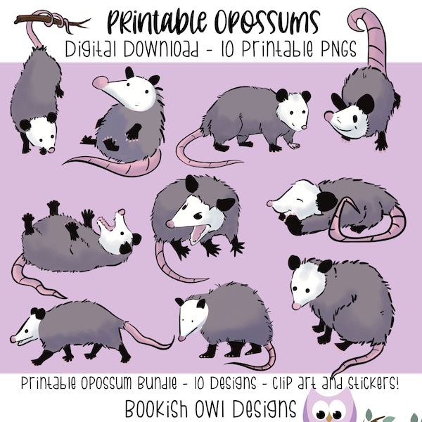 Opossum Stickers - Etsy