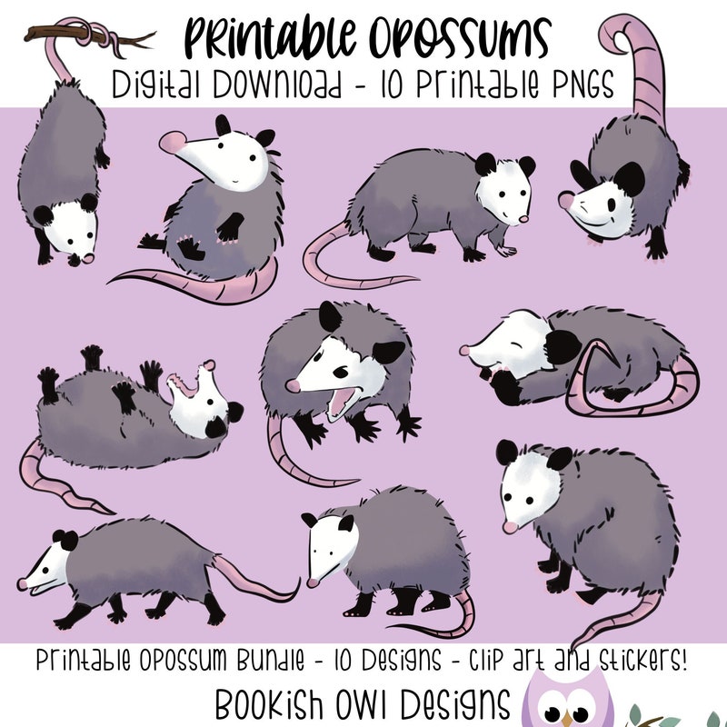 Cute Possum Clip Art - Etsy UK