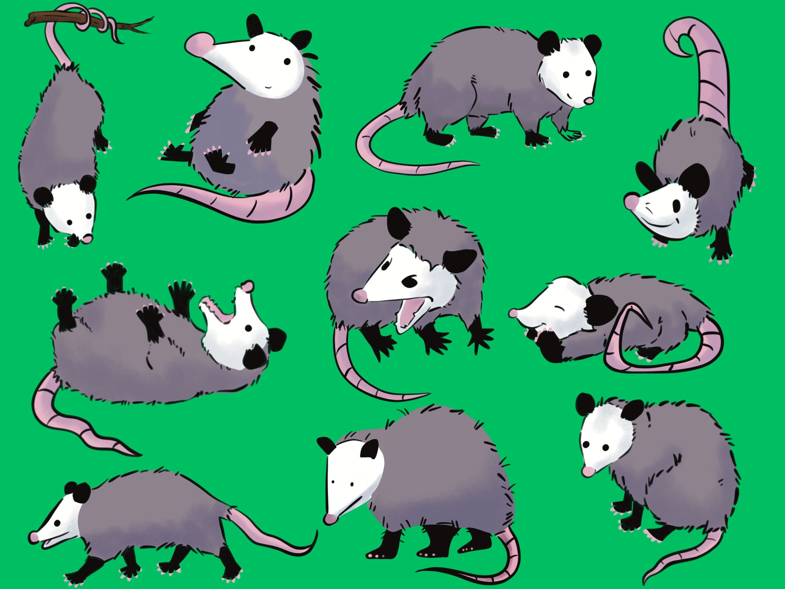Possum Clip Art Sticker Designs: 10 Printable PNG Images (digital ...
