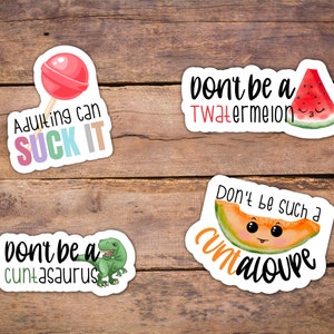 Swear Word Bundle 5 PNG Print and Cut Stickers, Adult Content Stickers ...