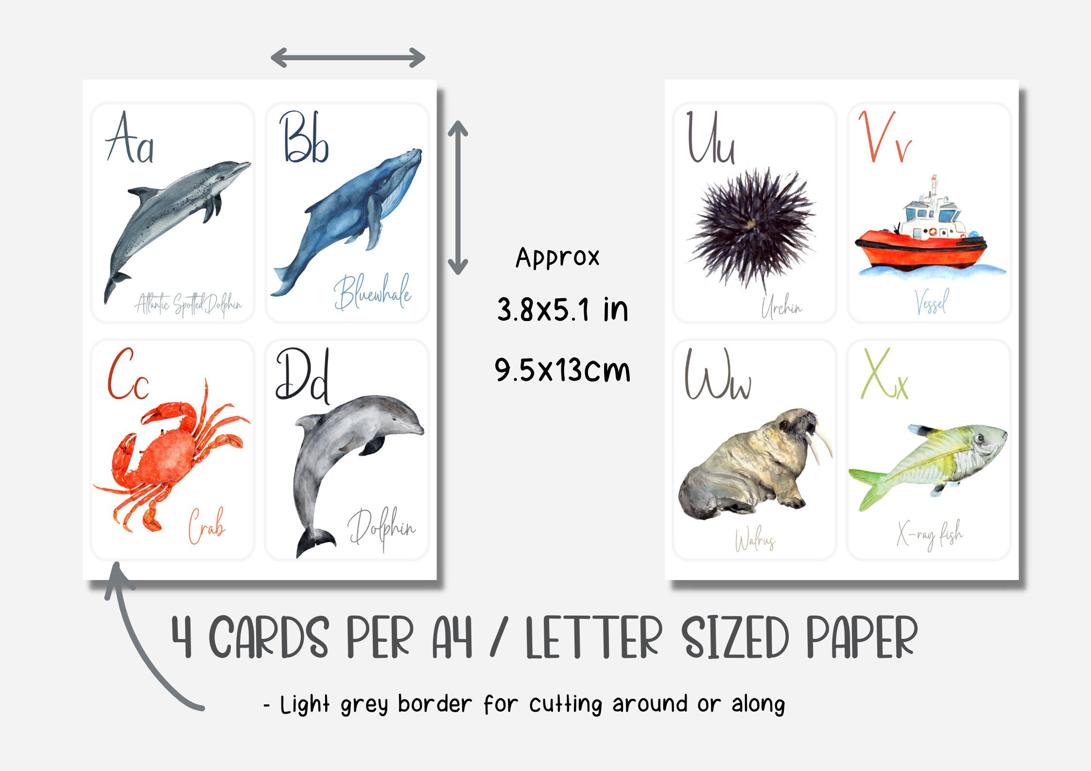 ABC Ocean Flashcards, Instant Digital Download, PNG Printable, Little ...
