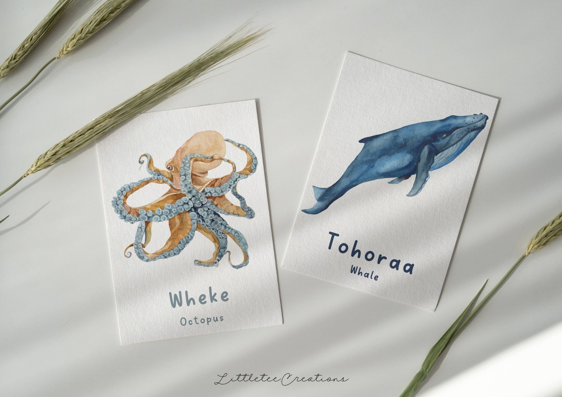 Ocean Animals in Maori & English Flashcards, Instant Digital Download ...