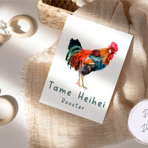 Farm Animals in Maori & English Flashcards Instant Digital | Etsy