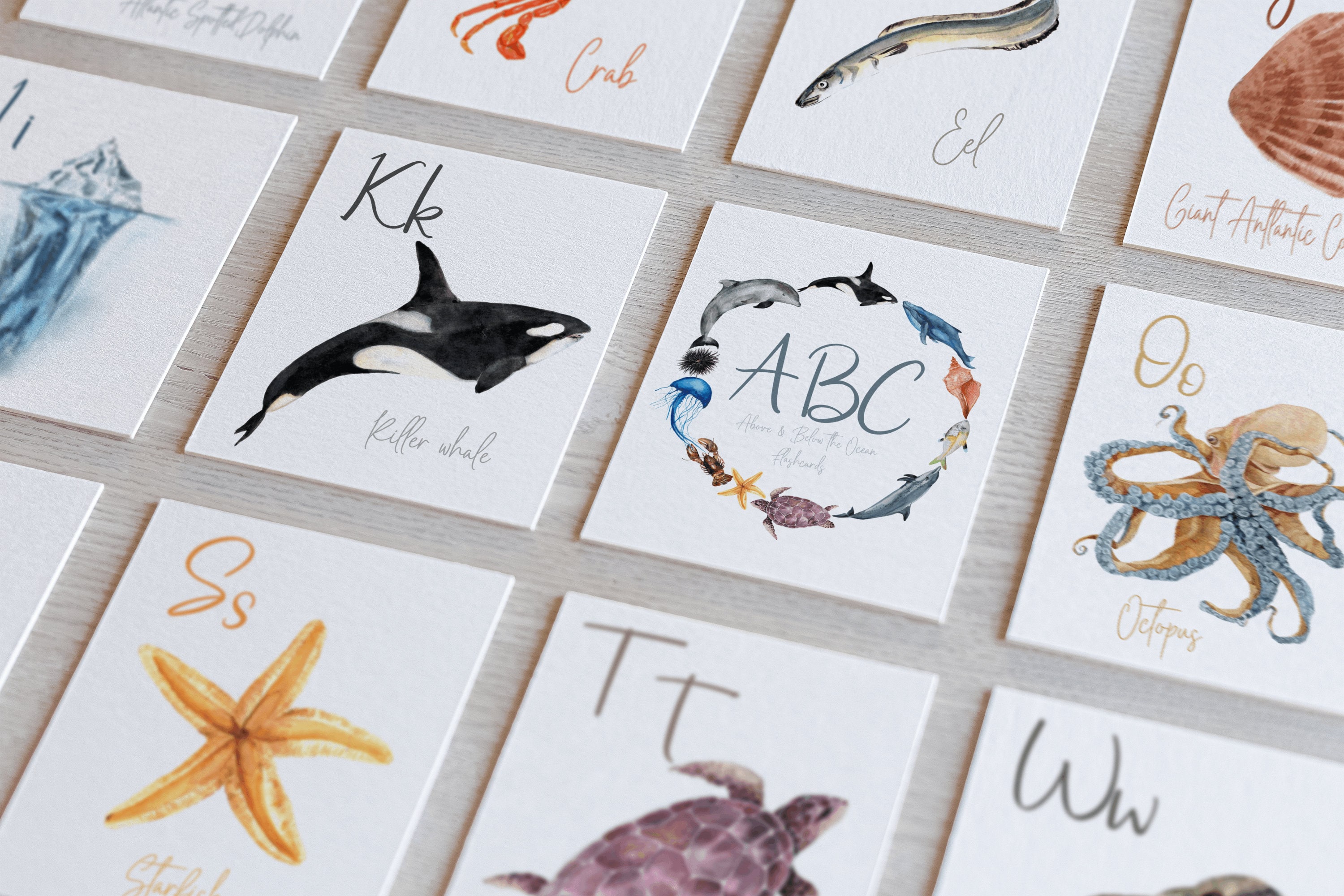 ABC Ocean Flashcards, Instant Digital Download, PNG Printable, Little ...