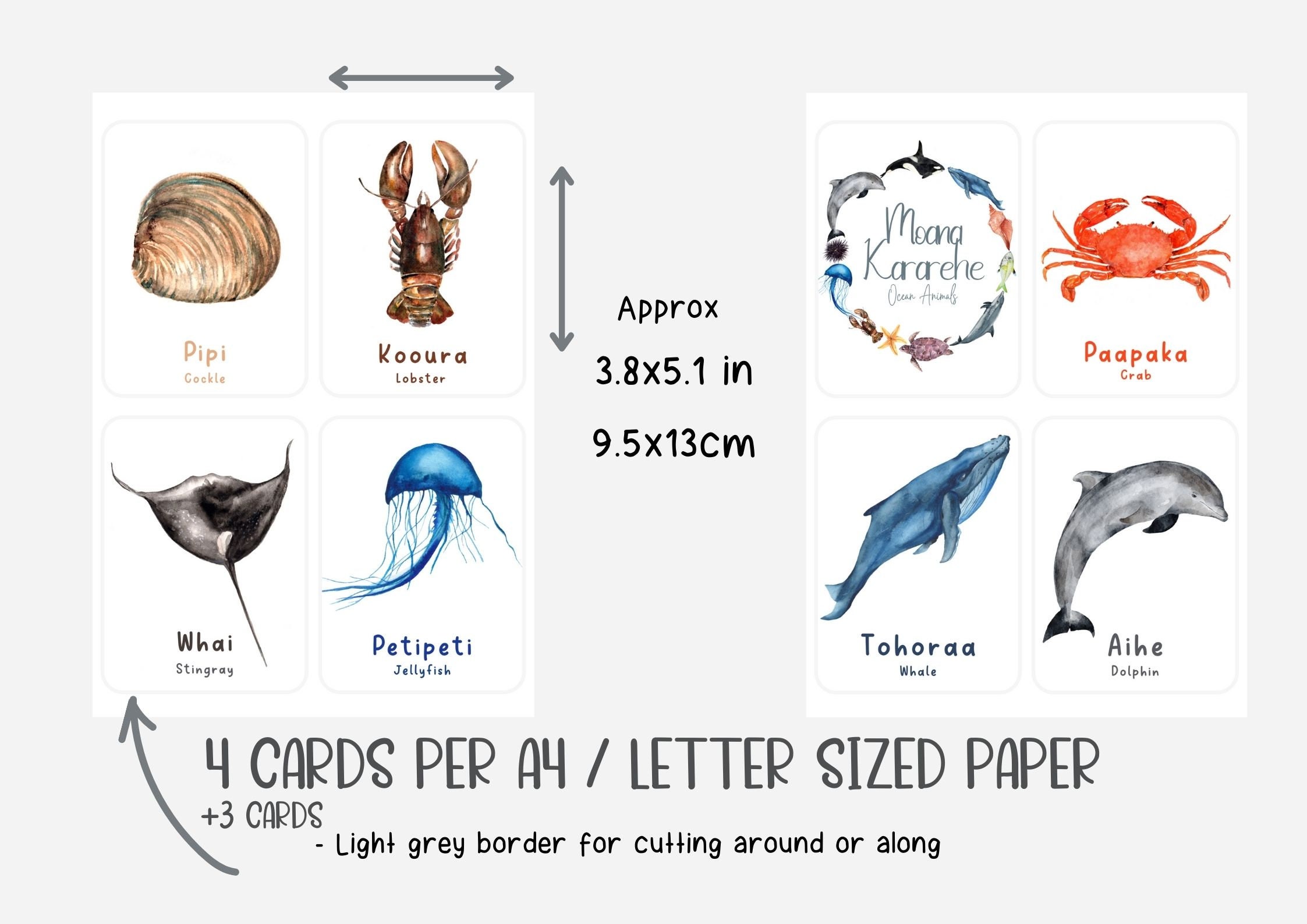 Ocean Animals in Maori & English Flashcards, Instant Digital Download ...
