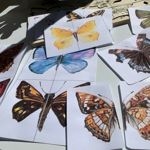 20 Watercolor Matching Butterfly Cards, Insect Cards, Instant Digital ...